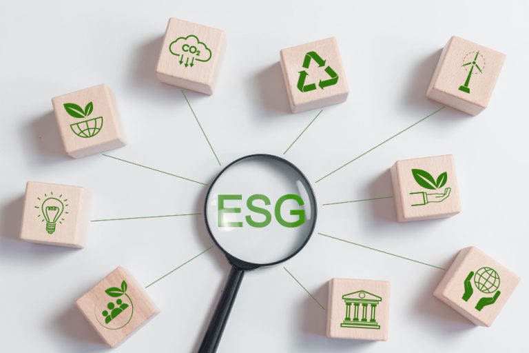 Bird’s Eye View on Fundamentals of ESG - NeoImpact
