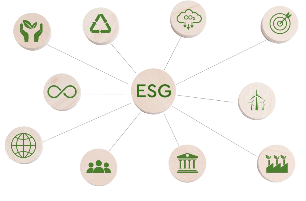 Custom ESG Taxonomies for Strategic Value Creation